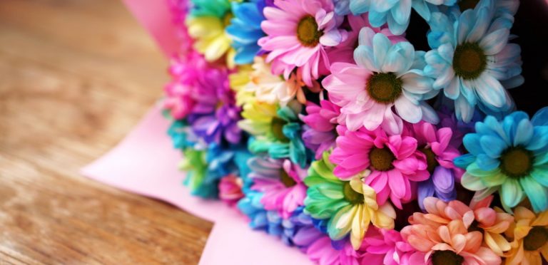 How Do Plants Absorb Water? | Learn Botany with HerbSpeak