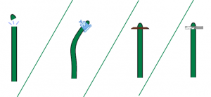 How Plants Reach for the Sun (Lessons in Phototropism)