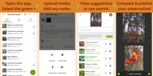 (Simple Guide) How to Use iNaturalist | HerbSpeak
