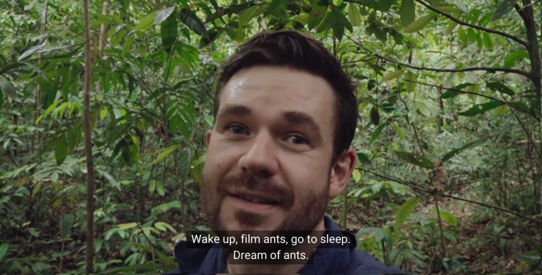 The Green Planet - BBC Earth & David Attenborough | HerbSpeak