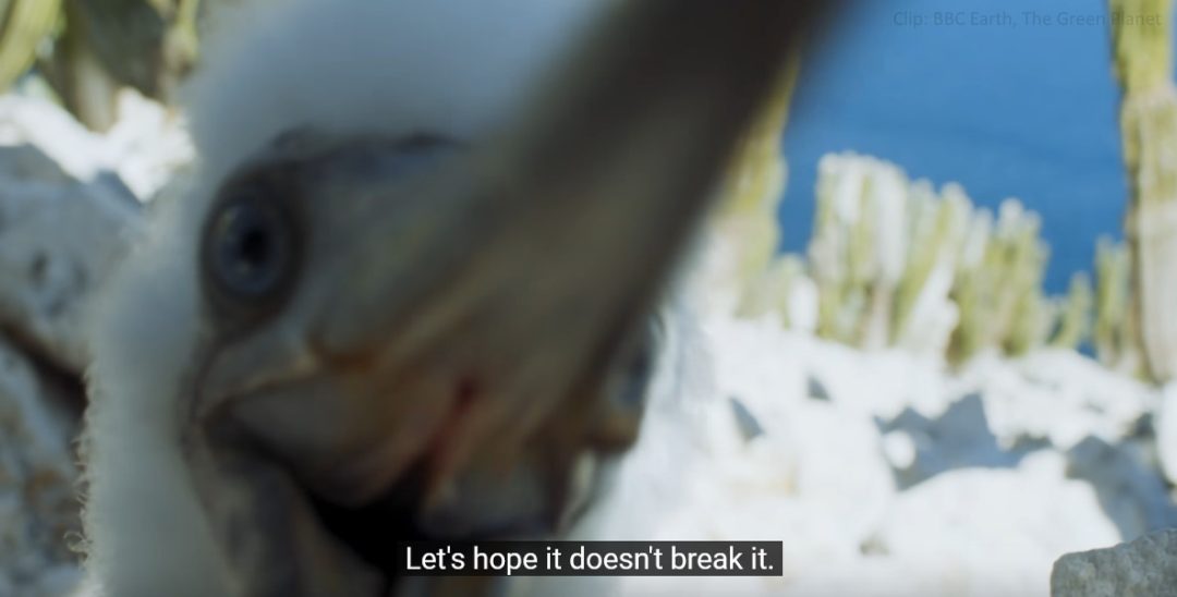 The Green Planet - BBC Earth & David Attenborough | HerbSpeak